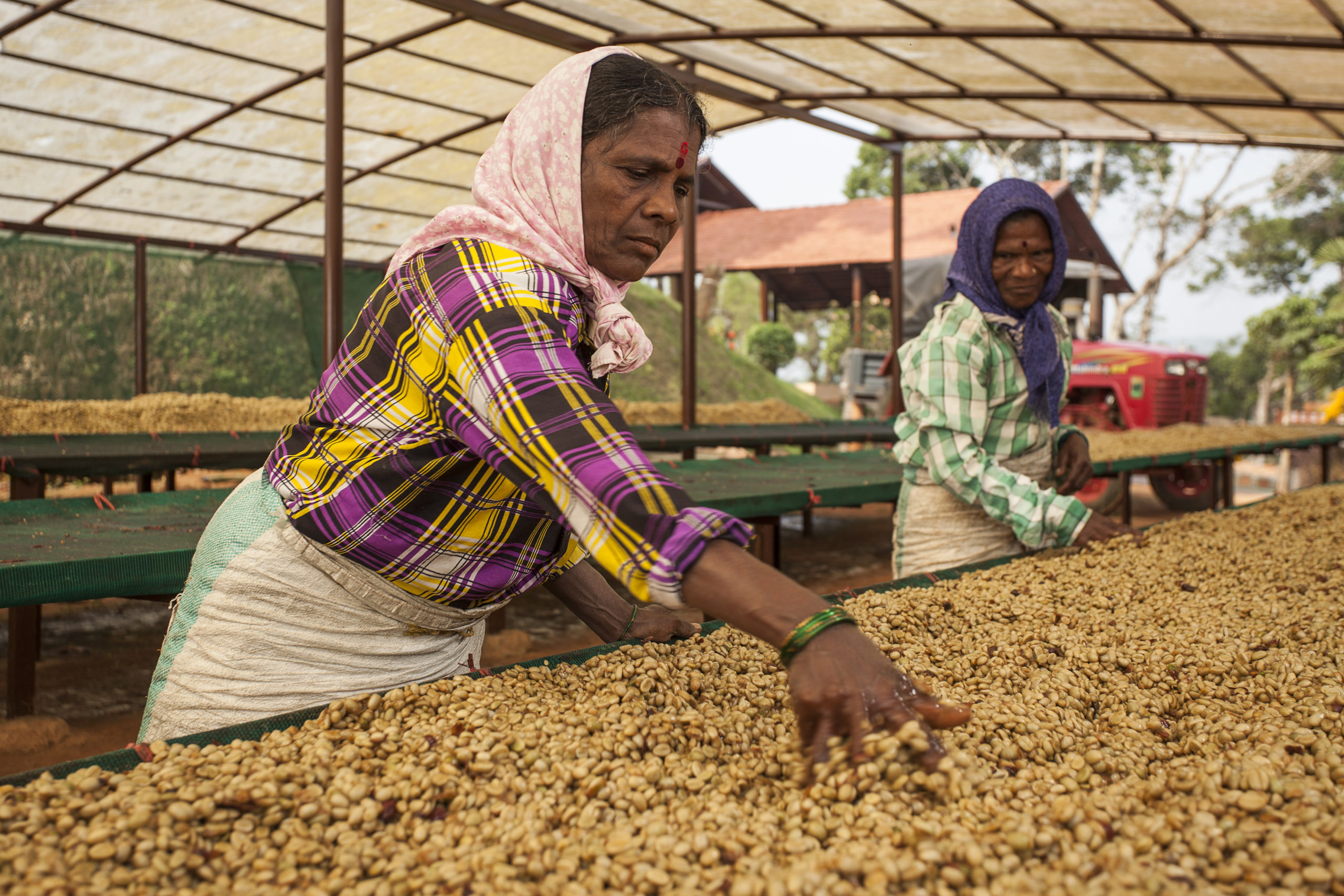 Trailblazing India's Specialty Coffee Movement in New Delhi - WE THE ORIGIN
